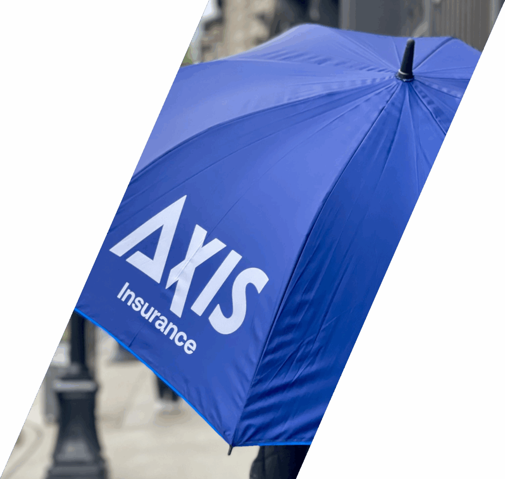 Axis Insurance